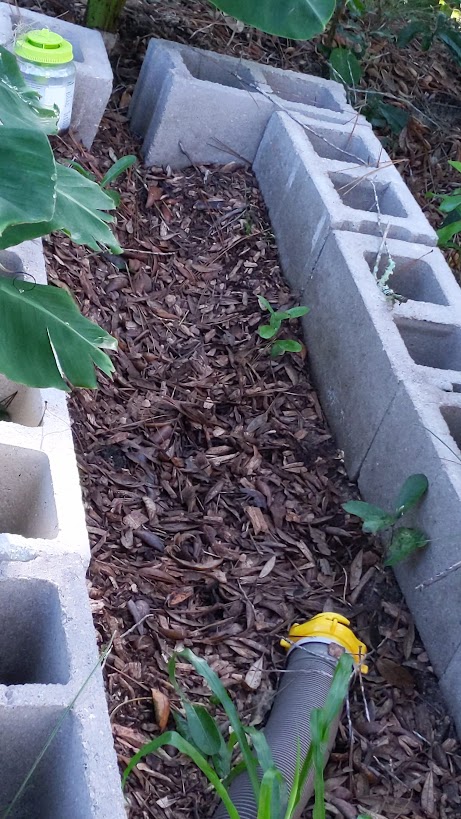 Gray Water Disposal System – Suburban & Rural Homesteading Today